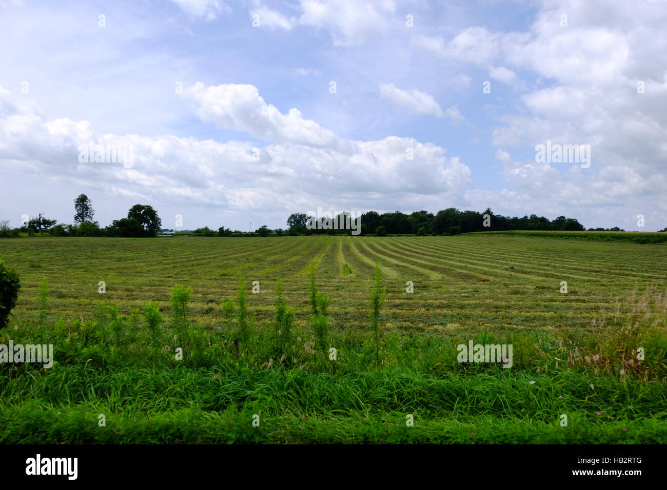 Hayfield beauty hi-res stock photography and images - Alamy