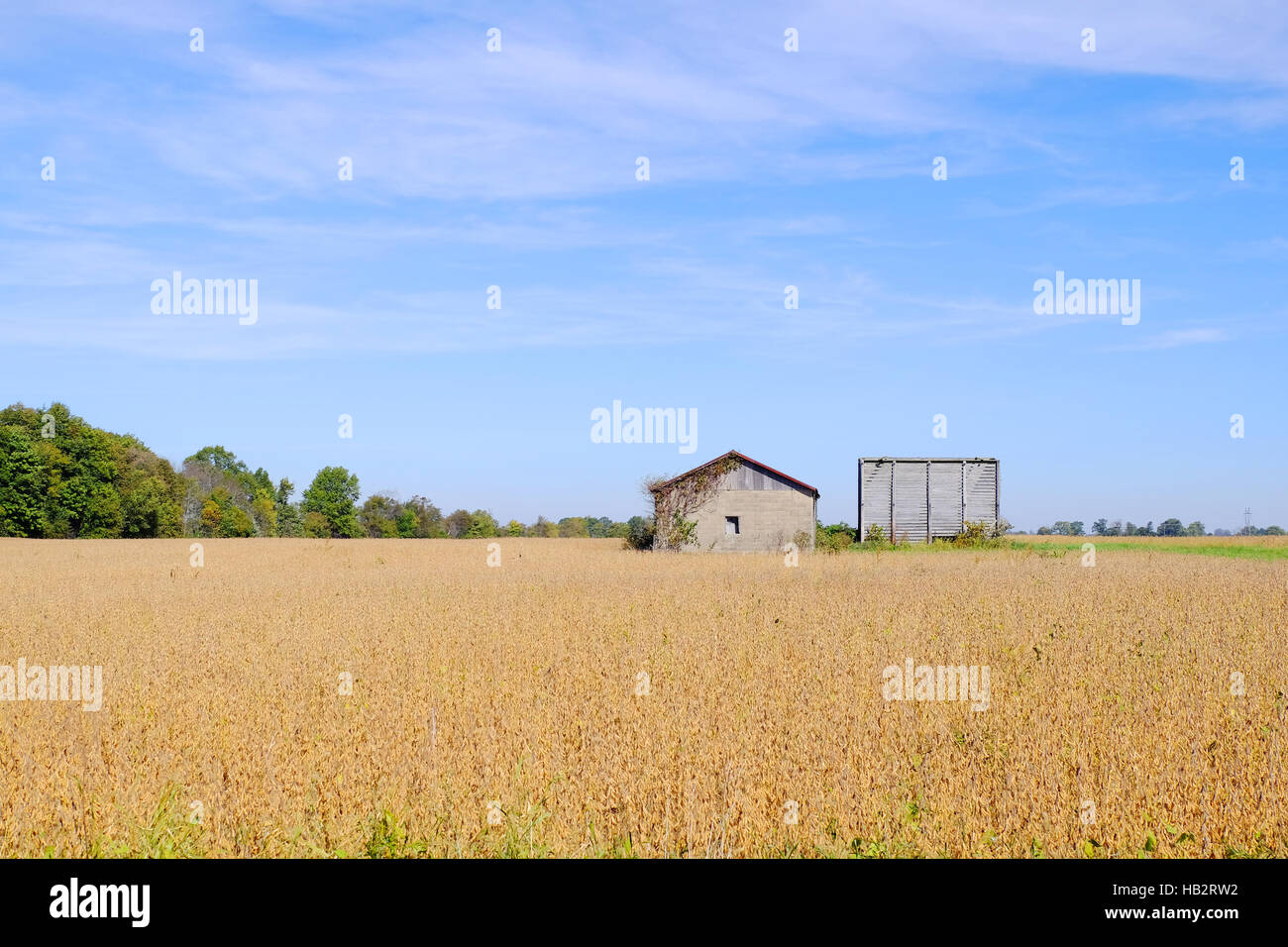 Farm buildings in the autumn of central Indiana Stock Photo - Alamy