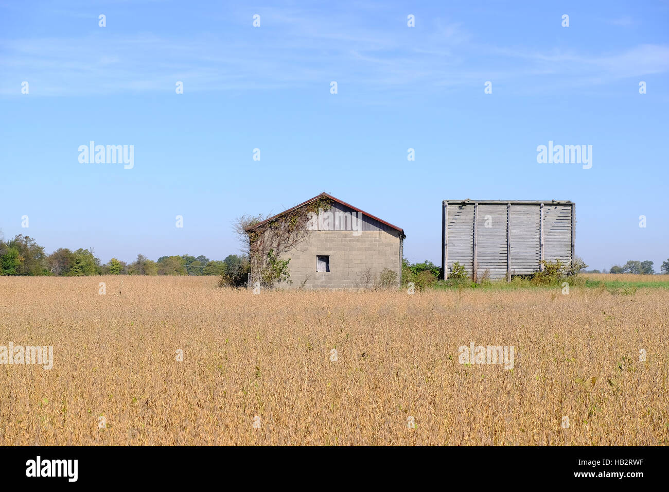 Farm buildings in the autumn of central Indiana Stock Photo - Alamy