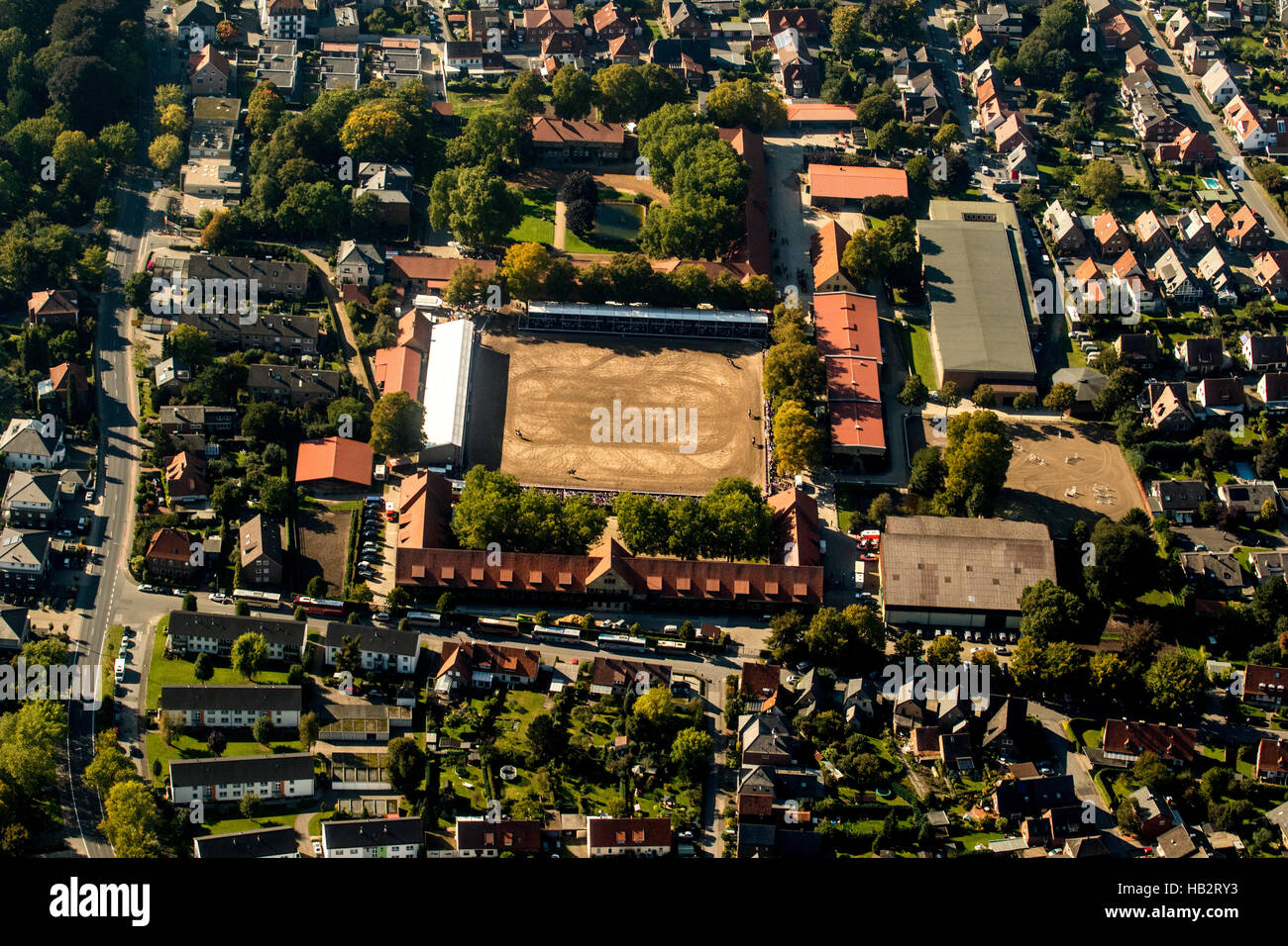 Horse breeding hi-res stock photography and images - Alamy