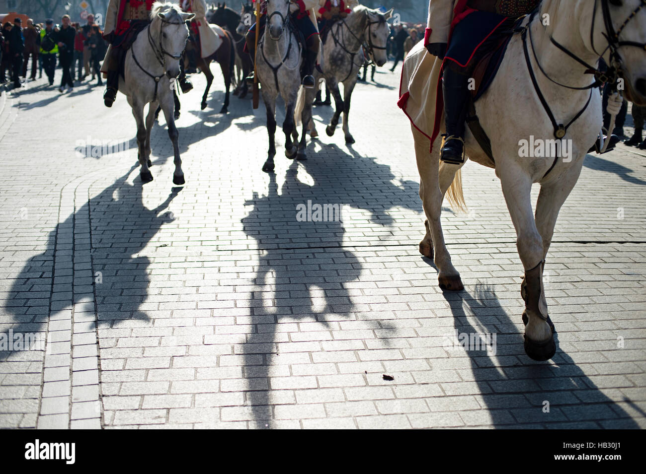 Horses parade in a city Stock Photo - Alamy