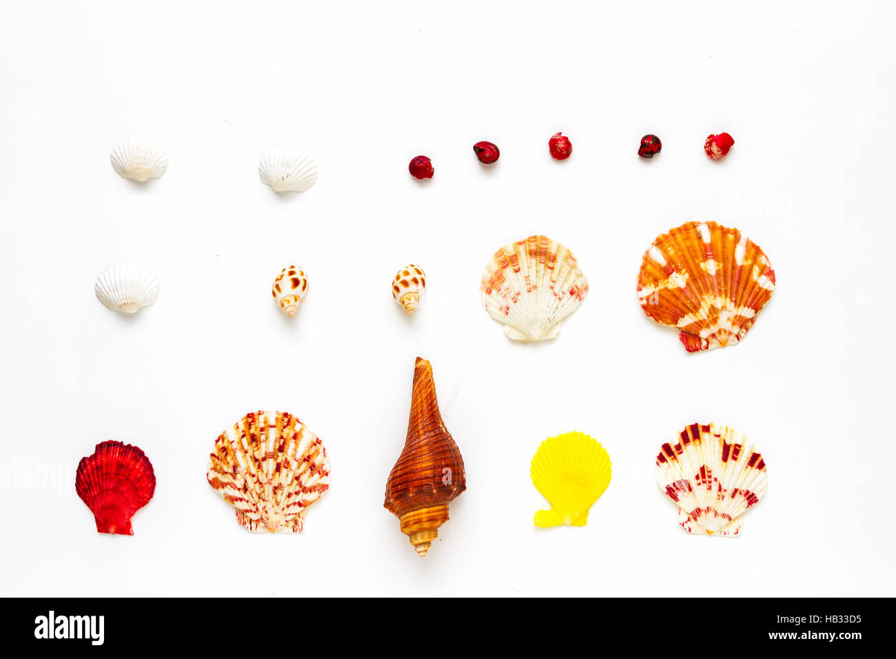 Seashell collection hi-res stock photography and images - Alamy