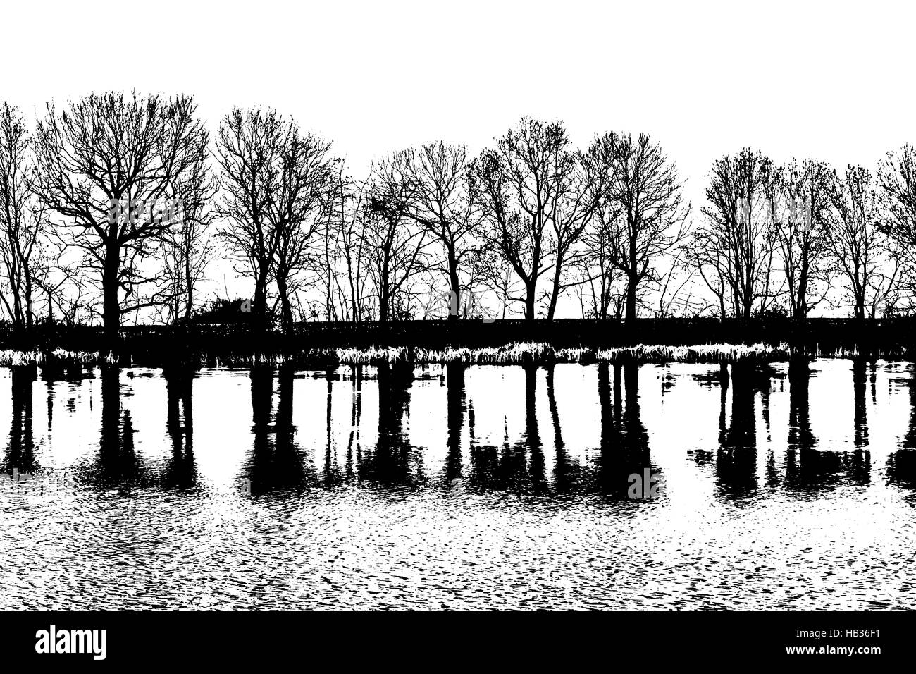 Silhouette trees in lake hi-res stock photography and images - Alamy