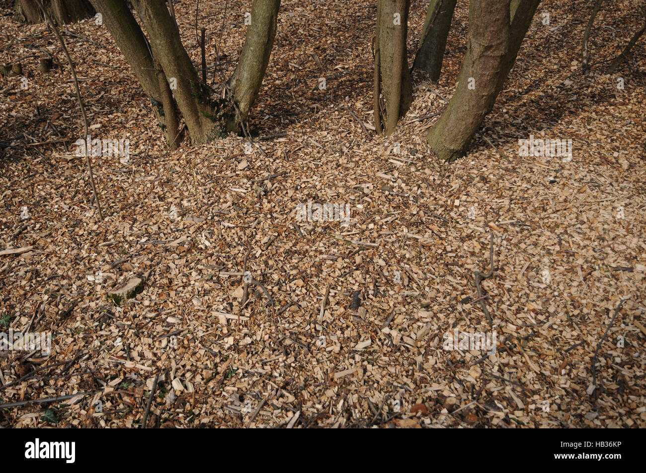 Mulch with wood pieces Stock Photo - Alamy