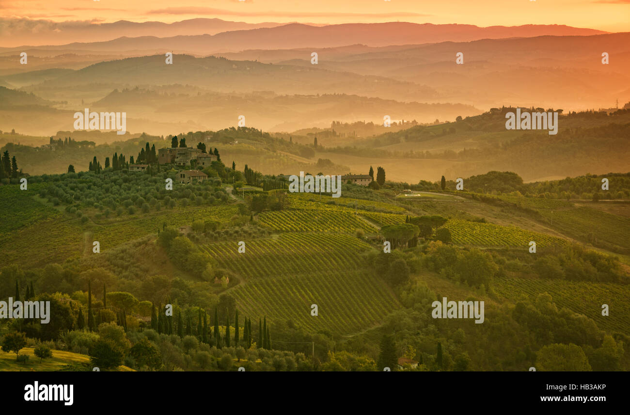 Fields in Tuscany Stock Photo - Alamy