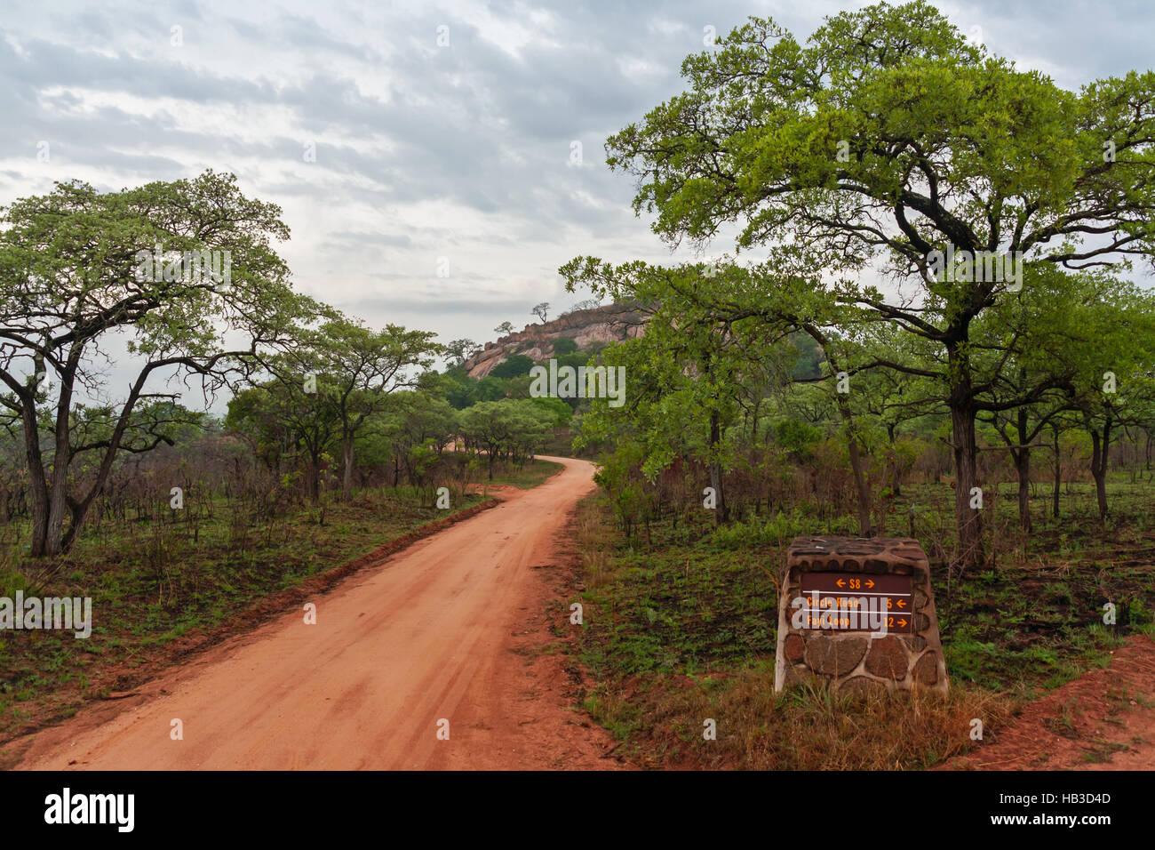 Bushland hi-res stock photography and images - Alamy