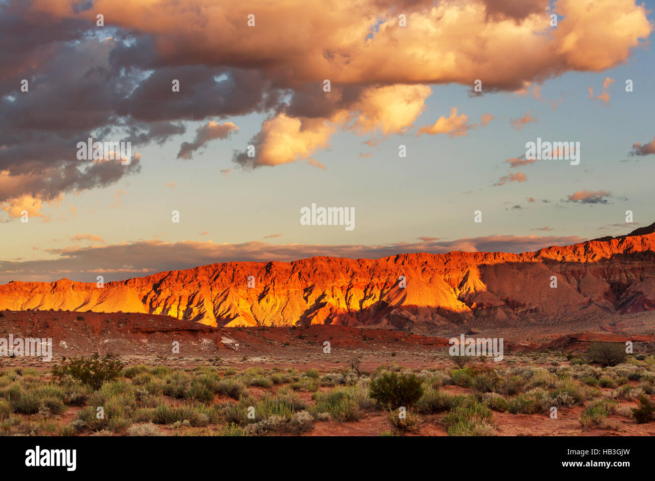 Beautiful prairie the country hi-res stock photography and images - Alamy