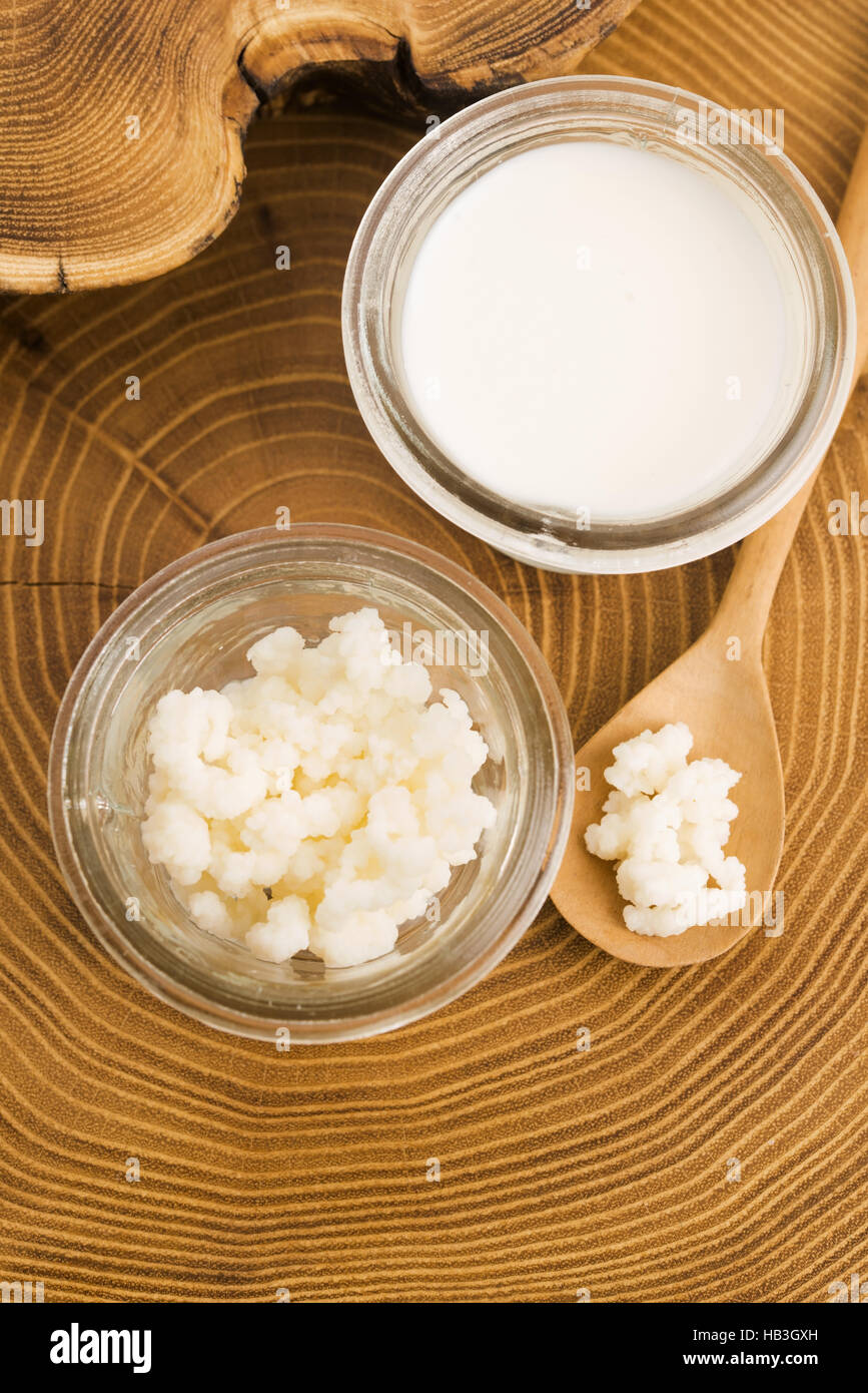 Organic probiotic milk kefir grains Stock Photo - Alamy