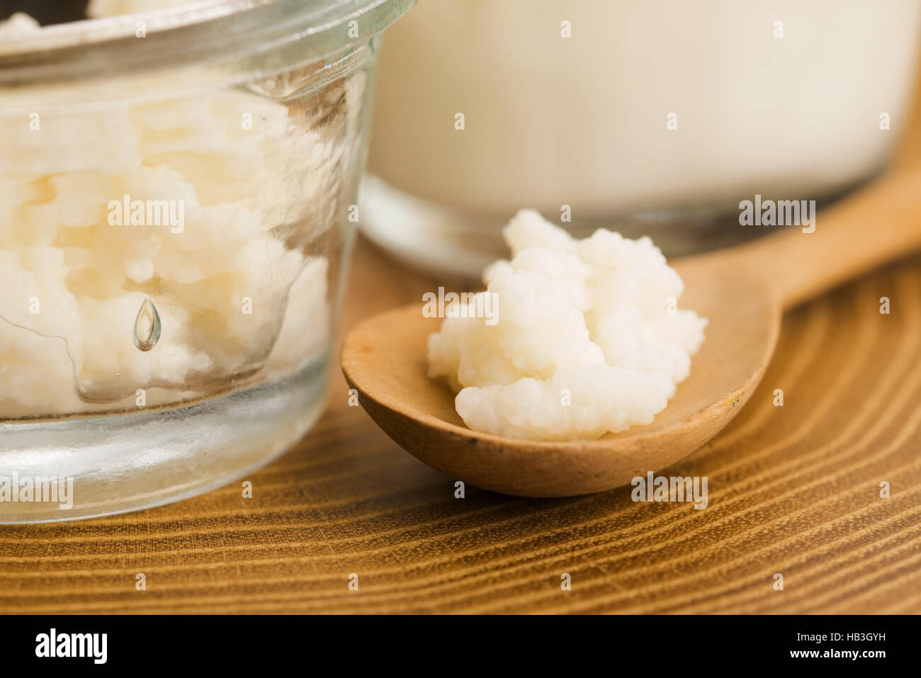 Organic probiotic milk kefir grains Stock Photo - Alamy