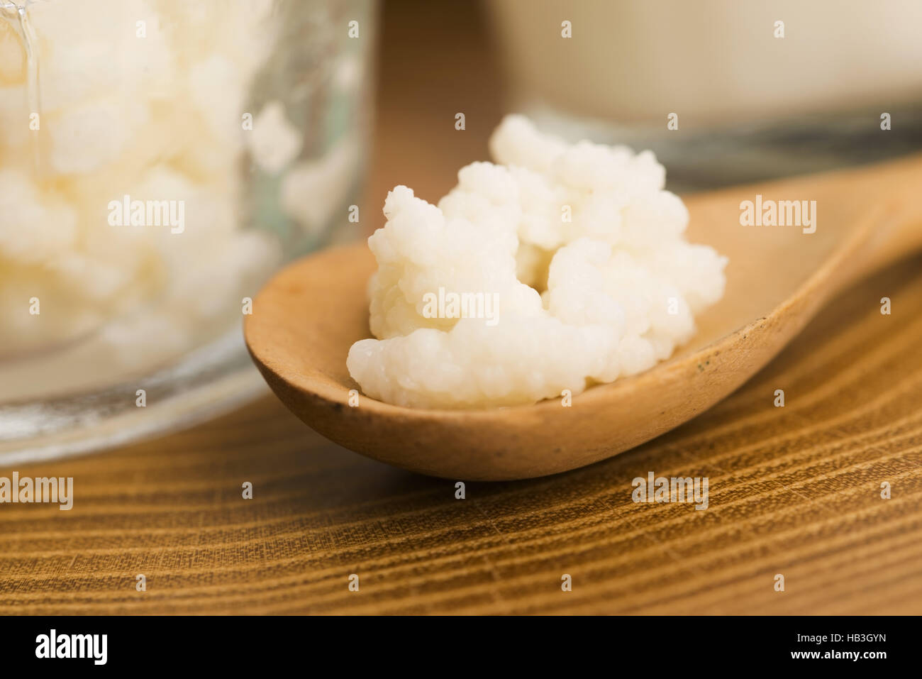 Organic probiotic milk kefir grains Stock Photo - Alamy