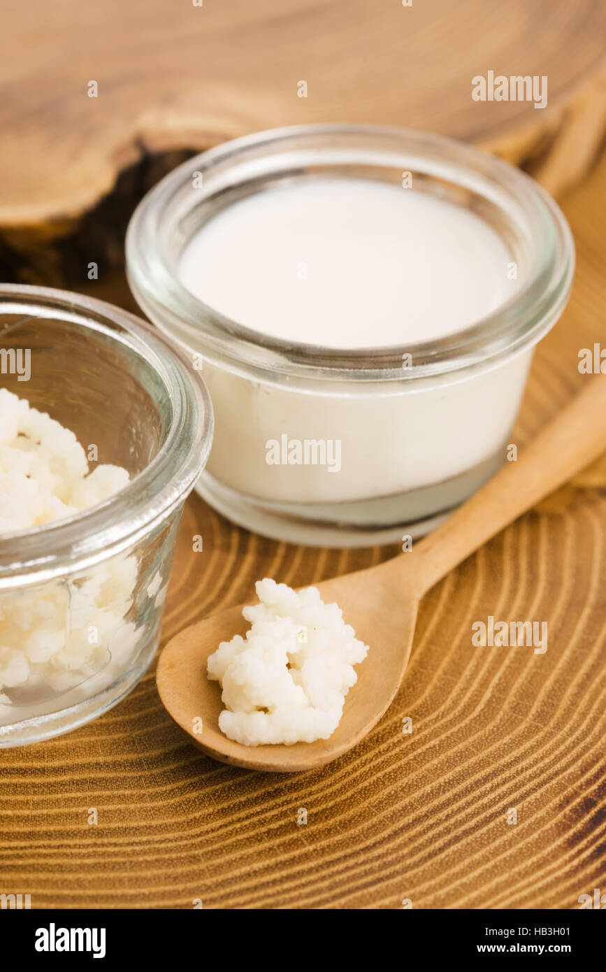 Organic probiotic milk kefir grains Stock Photo - Alamy