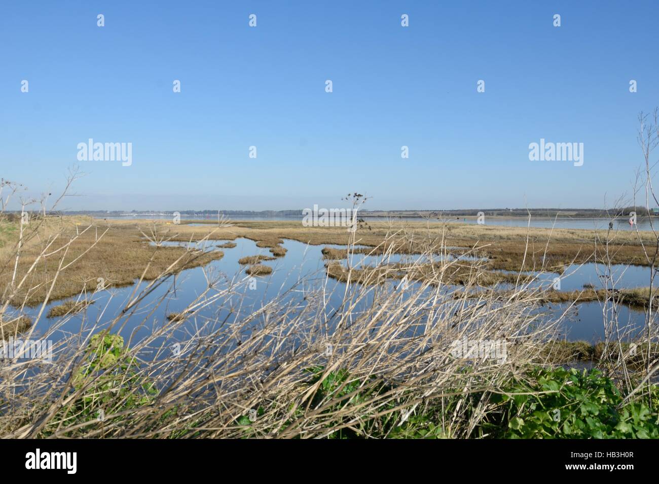 Estuary in winter Stock Photo - Alamy