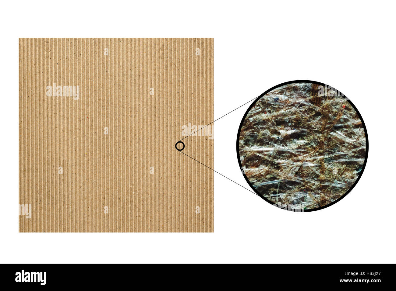 Paper fibers micrograph hi-res stock photography and images - Alamy