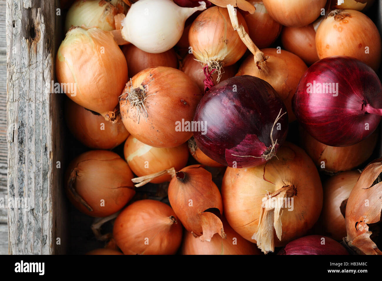 mix of ripe onions in crate, food Stock Photo - Alamy