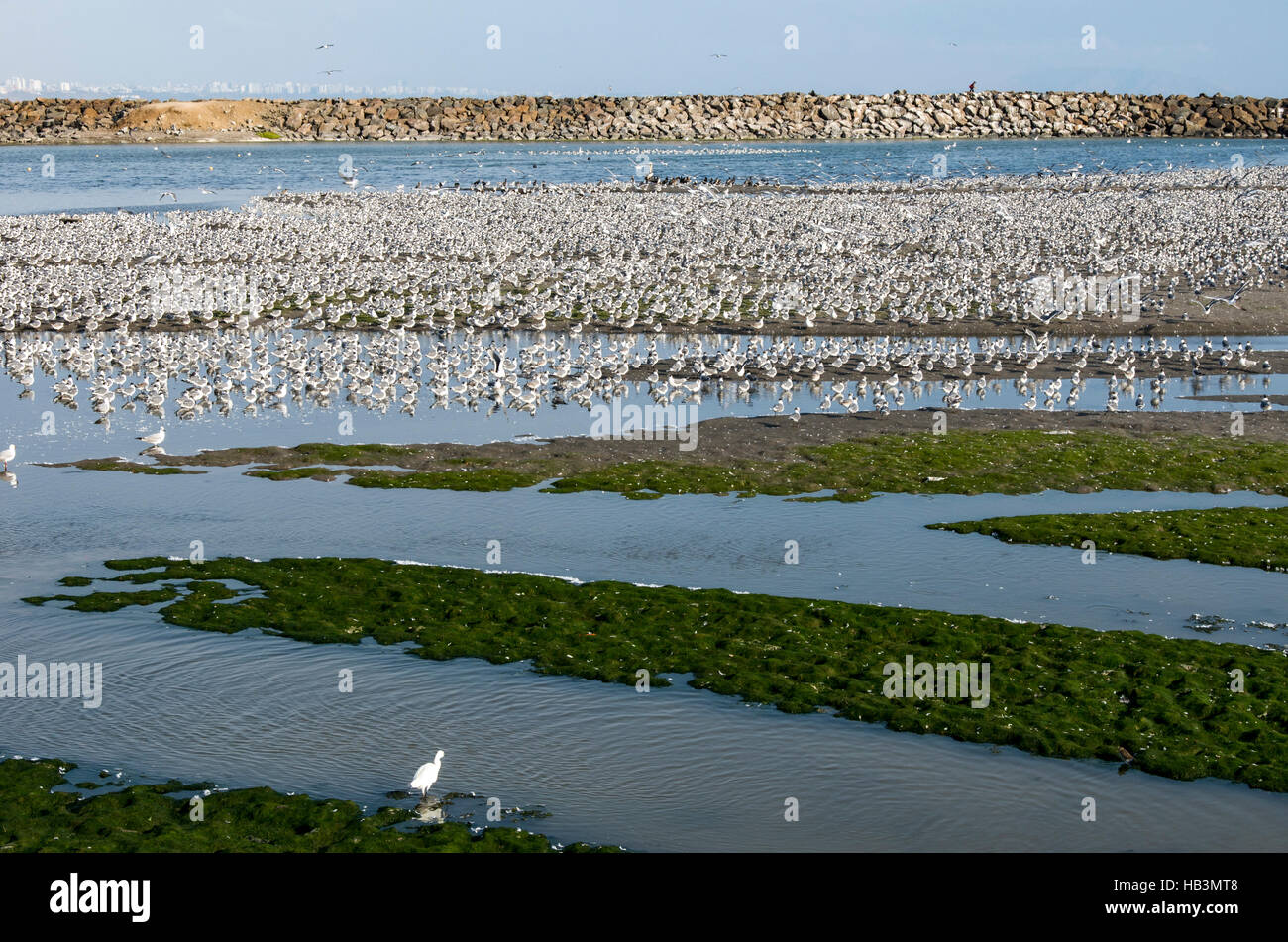 El callao peru hi-res stock photography and images - Alamy