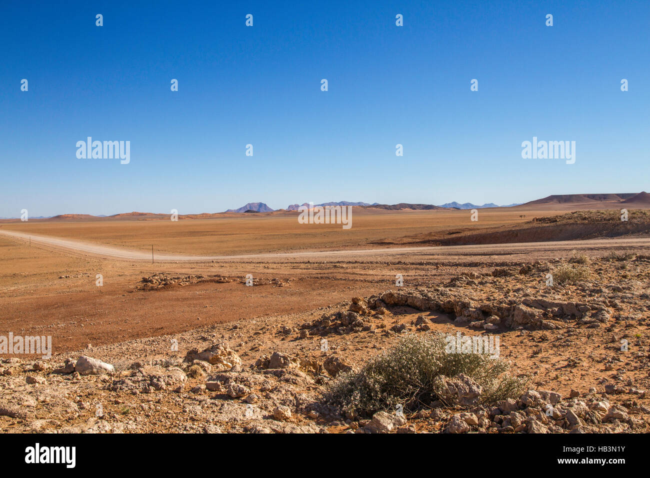 Namibia is a massive, empty country and after four years of drought ...
