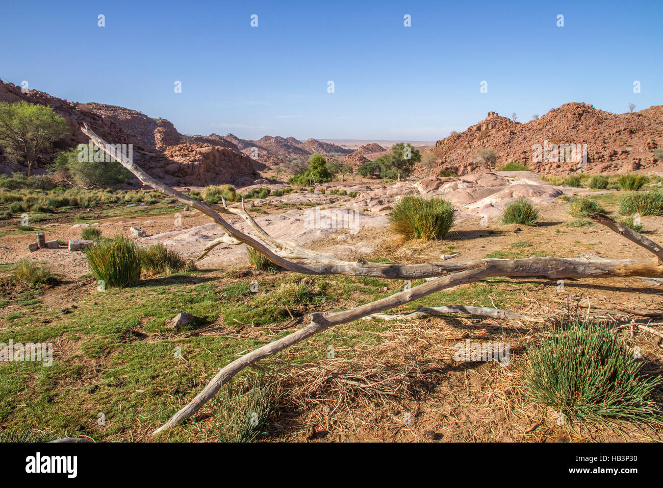 A natural spring brings life to the desert landscape Stock Photo - Alamy