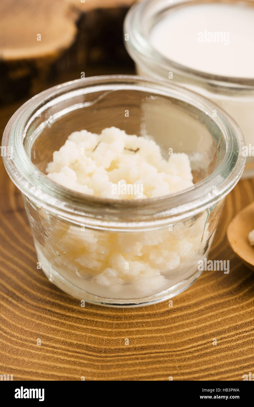 Organic probiotic milk kefir grains Stock Photo - Alamy