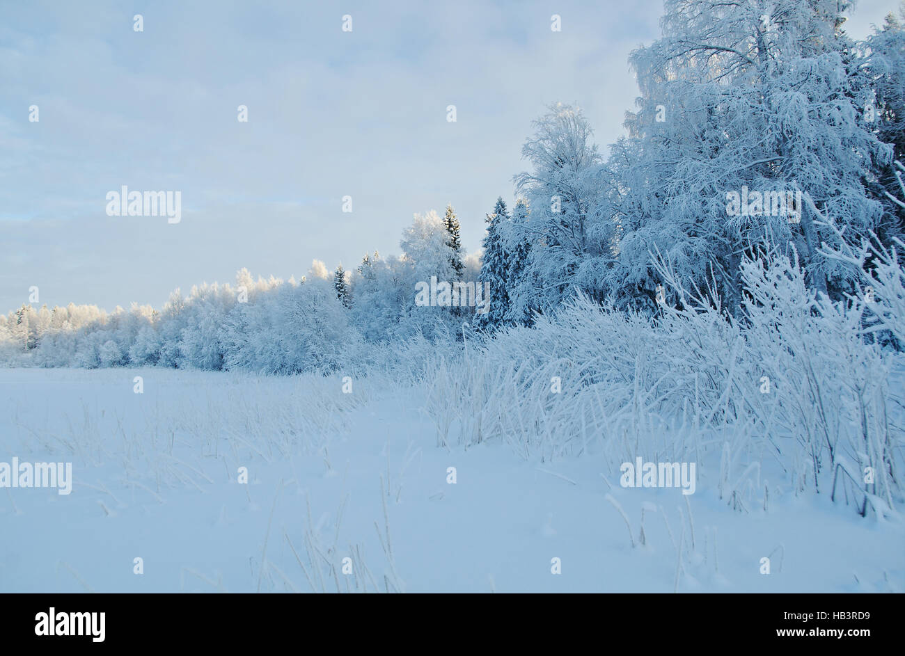 Winter wonderland christmas landscape hi-res stock photography and ...