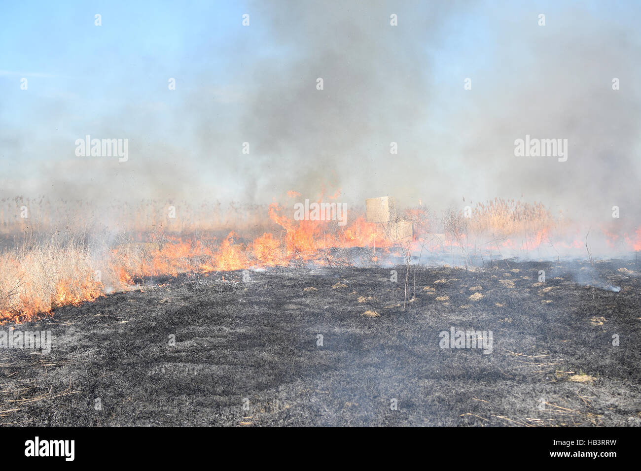 Hay burning hi-res stock photography and images - Alamy