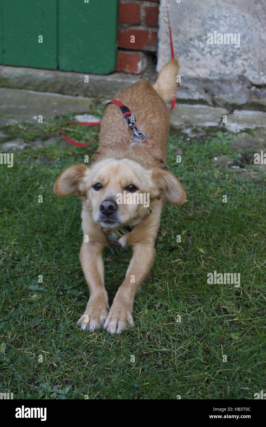 Maneto mix hi-res stock photography and images - Alamy