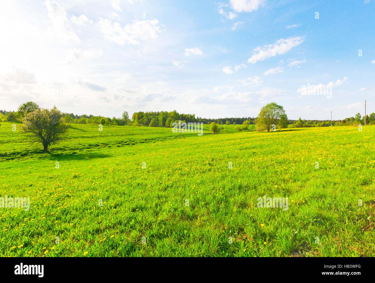 beautiful field at sunset time Stock Photo - Alamy