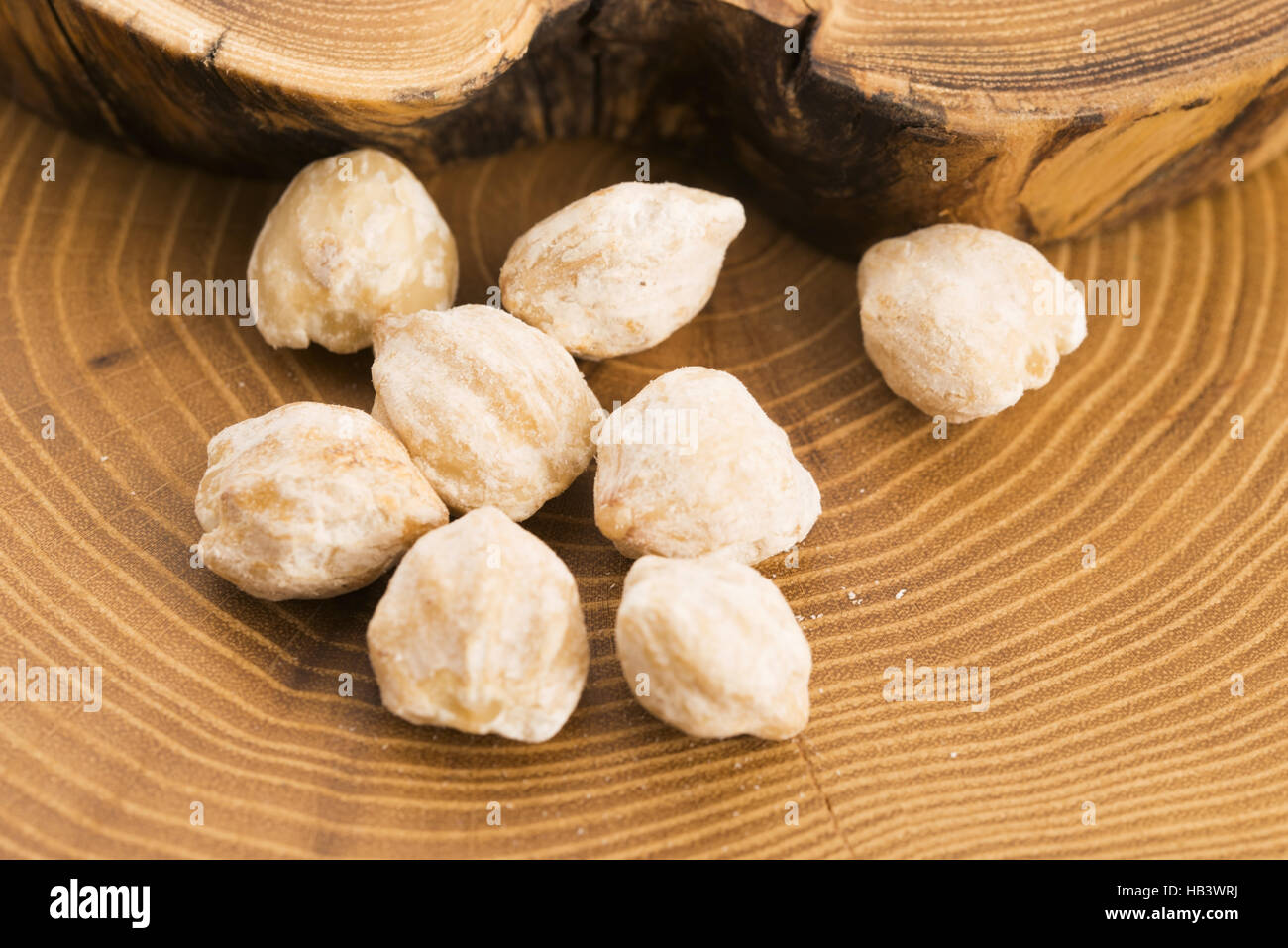 Candlenut or Kukui is a spice especially used in indonesian cooking ...