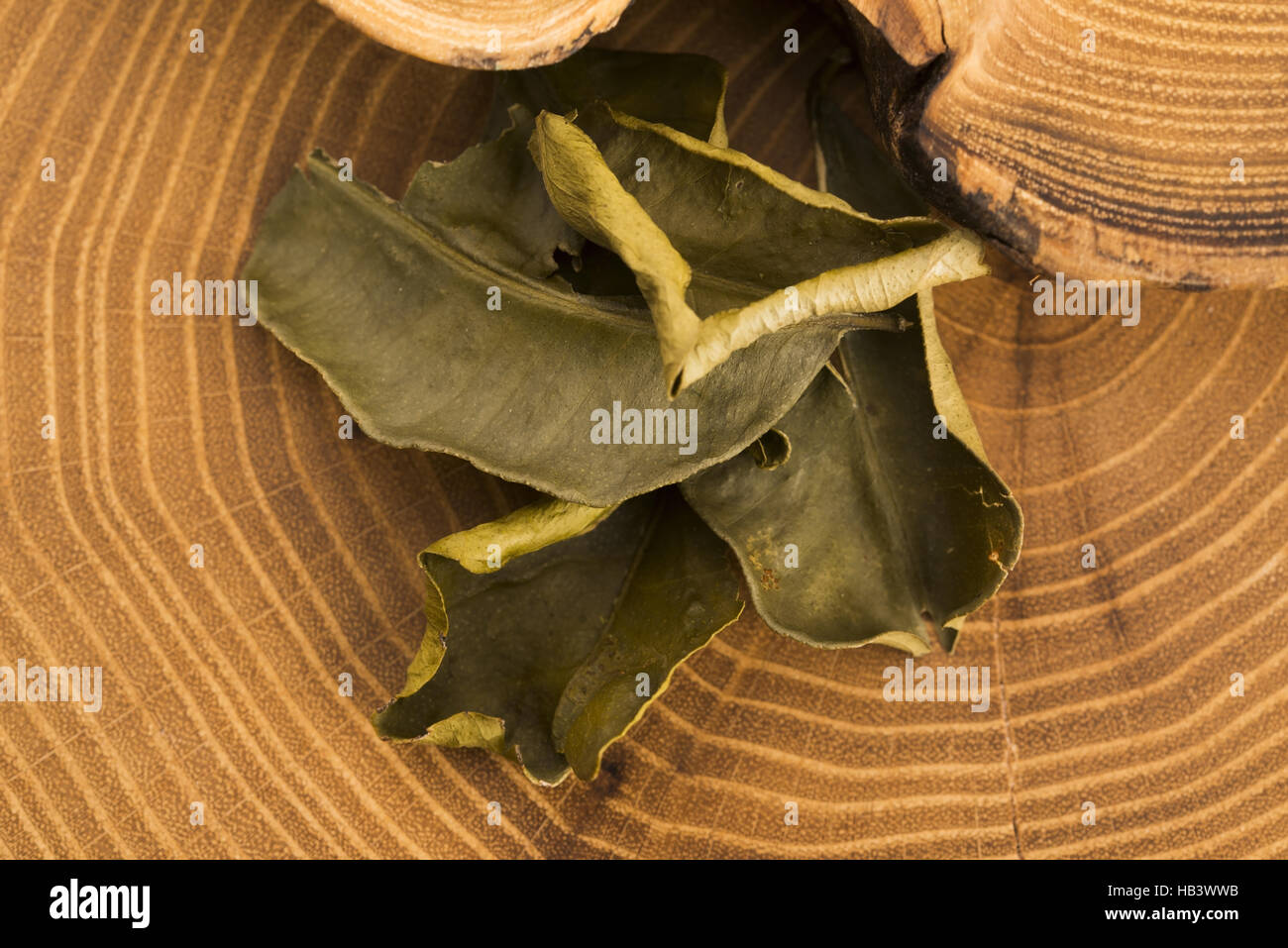 Cassia leaves hi-res stock photography and images - Alamy