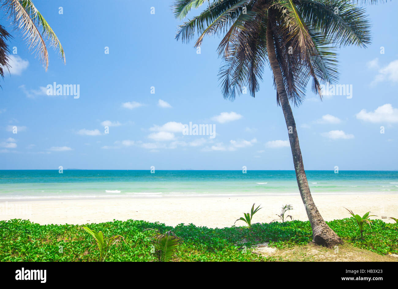 Isla palm beach hi-res stock photography and images - Alamy