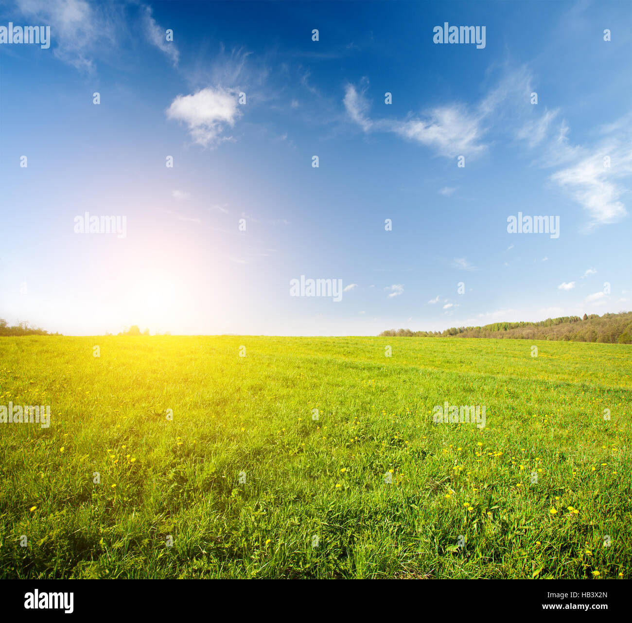 green field and beautiful sunset Stock Photo - Alamy