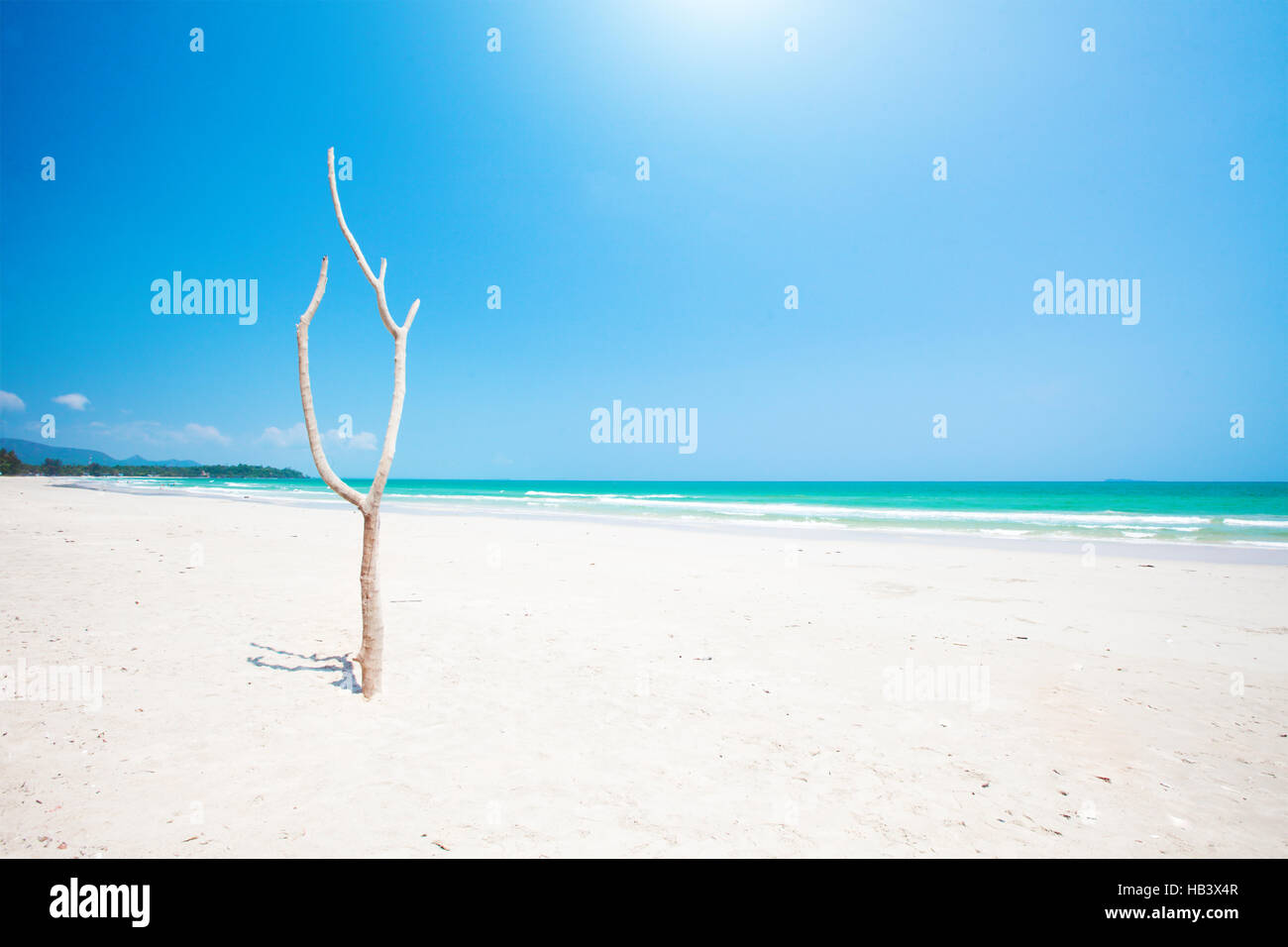 Dead on the beach hi-res stock photography and images - Alamy