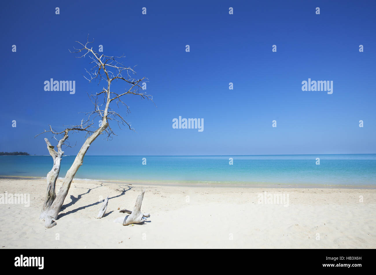 Beautiful scenery on beach hi-res stock photography and images - Alamy