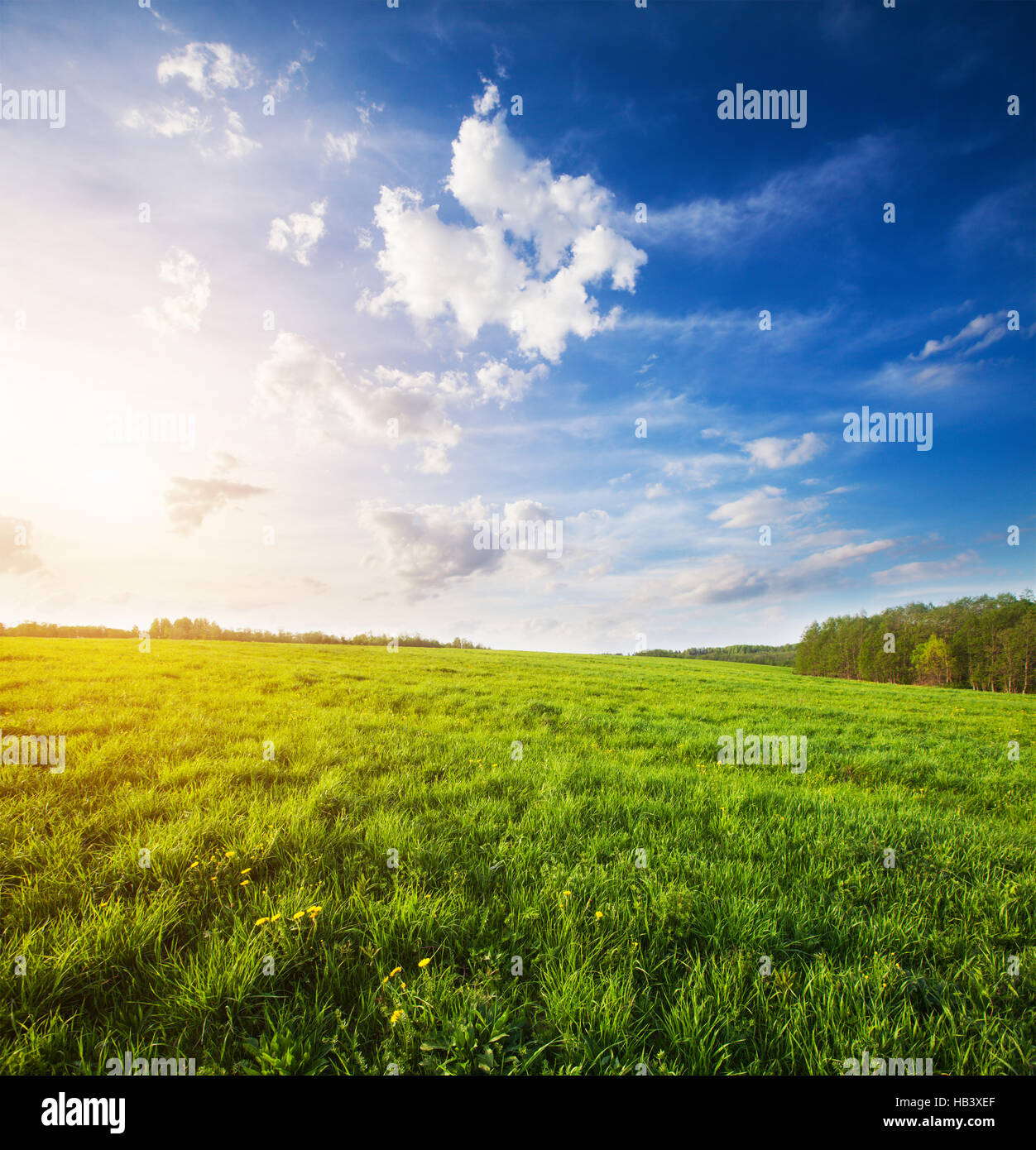 green field and beautiful sunset Stock Photo - Alamy