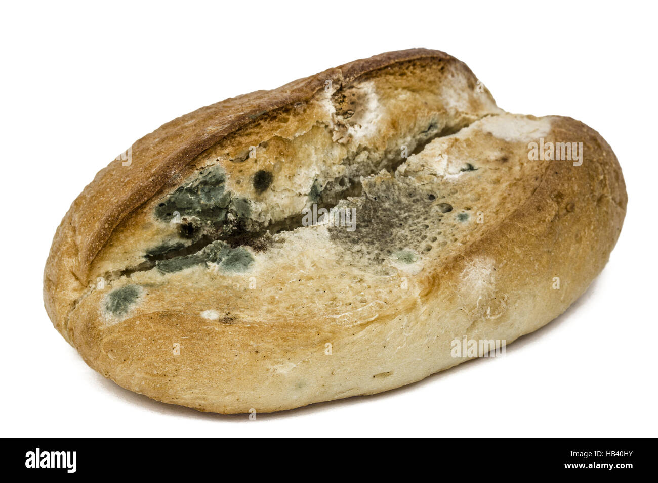 Moldy bread, isolated on white background Stock Photo - Alamy