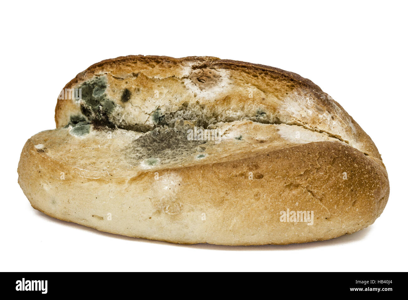 Bacteria germs on food Cut Out Stock Images & Pictures - Alamy