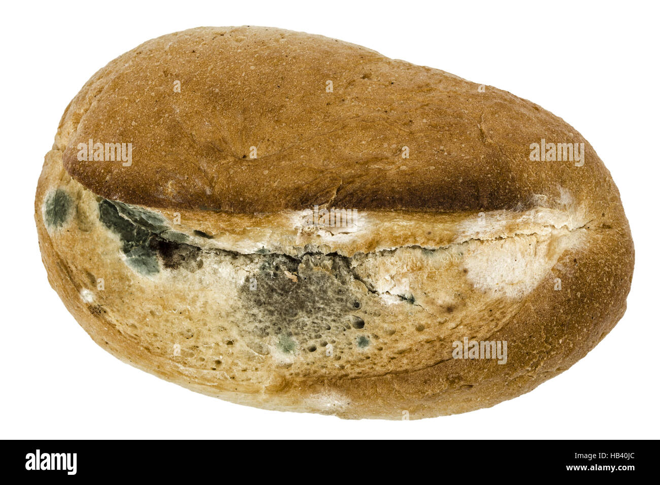 Moldy bread, isolated on white background Stock Photo - Alamy