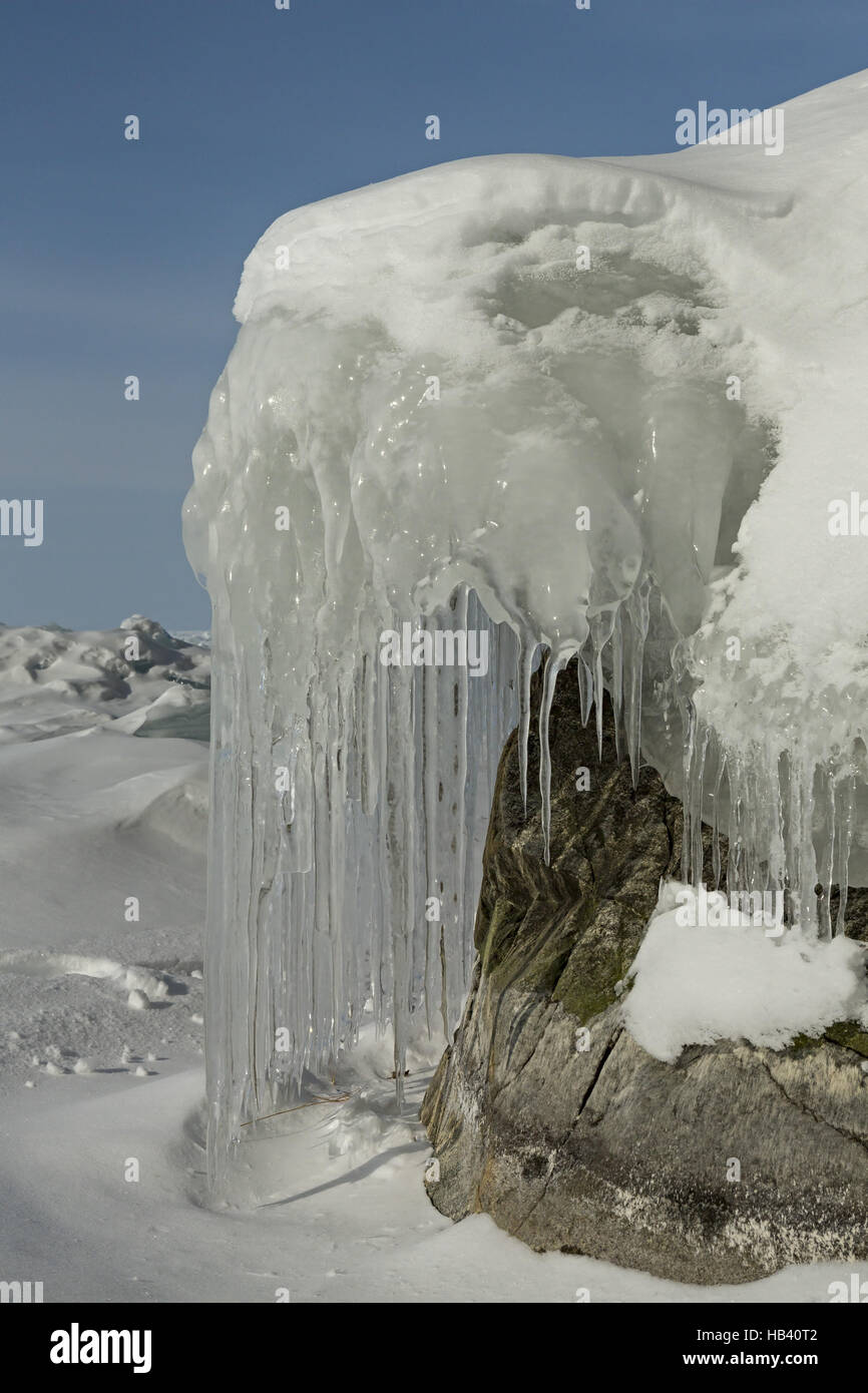 Cheremsha hi-res stock photography and images - Alamy