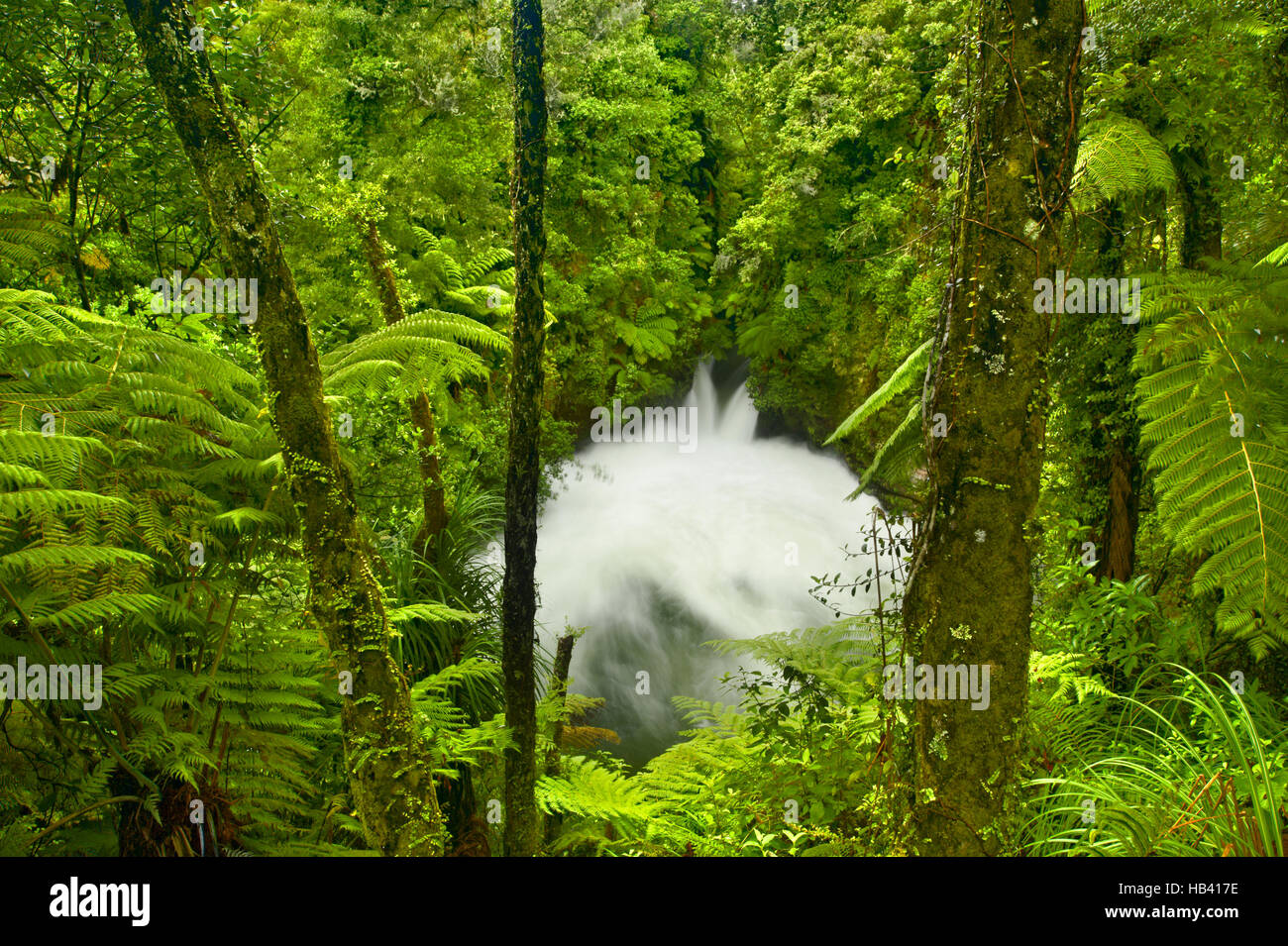 Tutea hi-res stock photography and images - Alamy