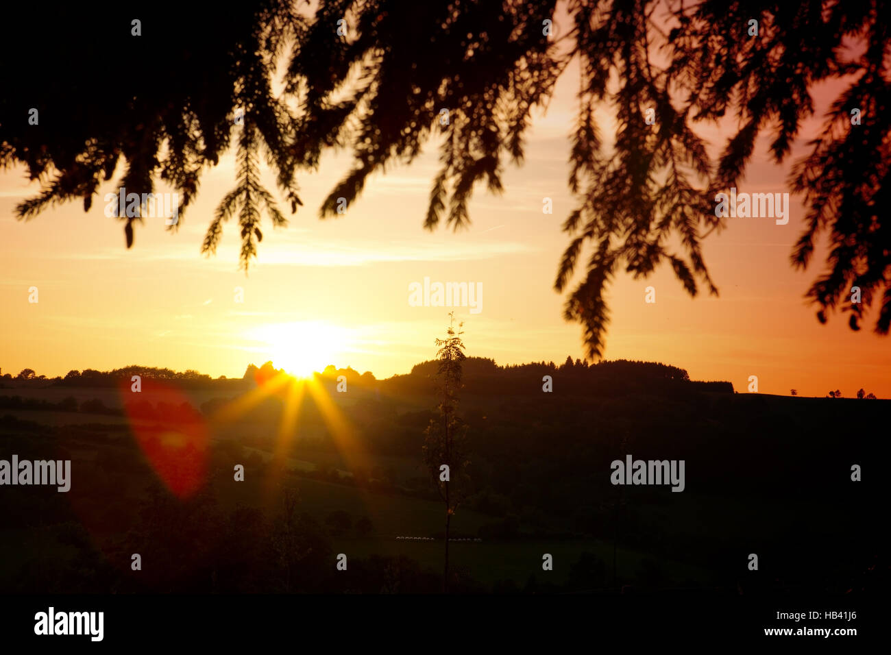 Forest german hi-res stock photography and images - Alamy