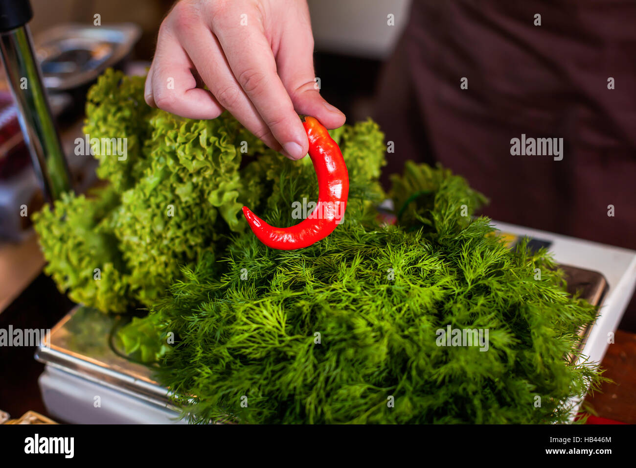 Hand holding fresh herbs hi-res stock photography and images - Alamy