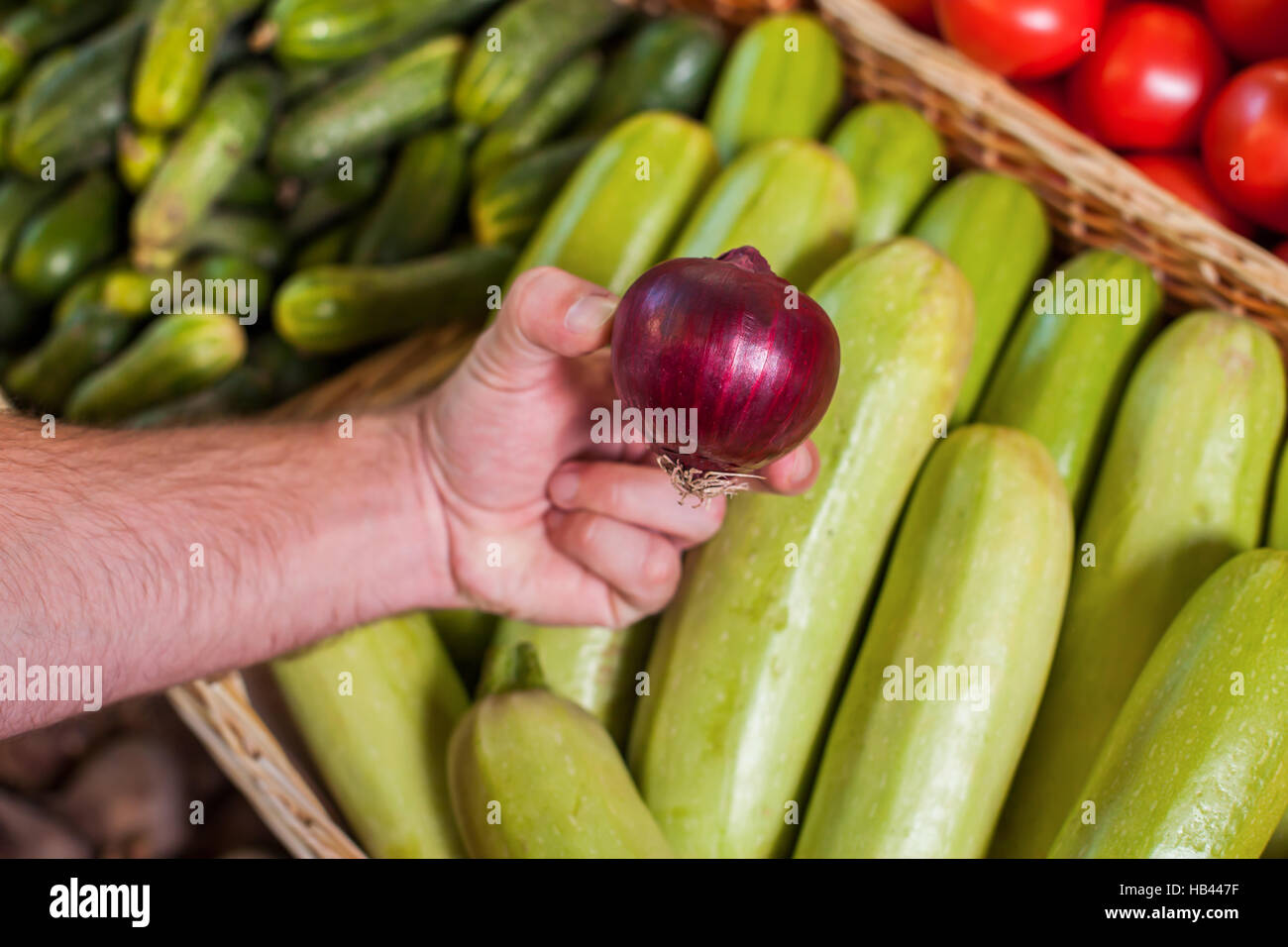 Show onion hand hi-res stock photography and images - Alamy