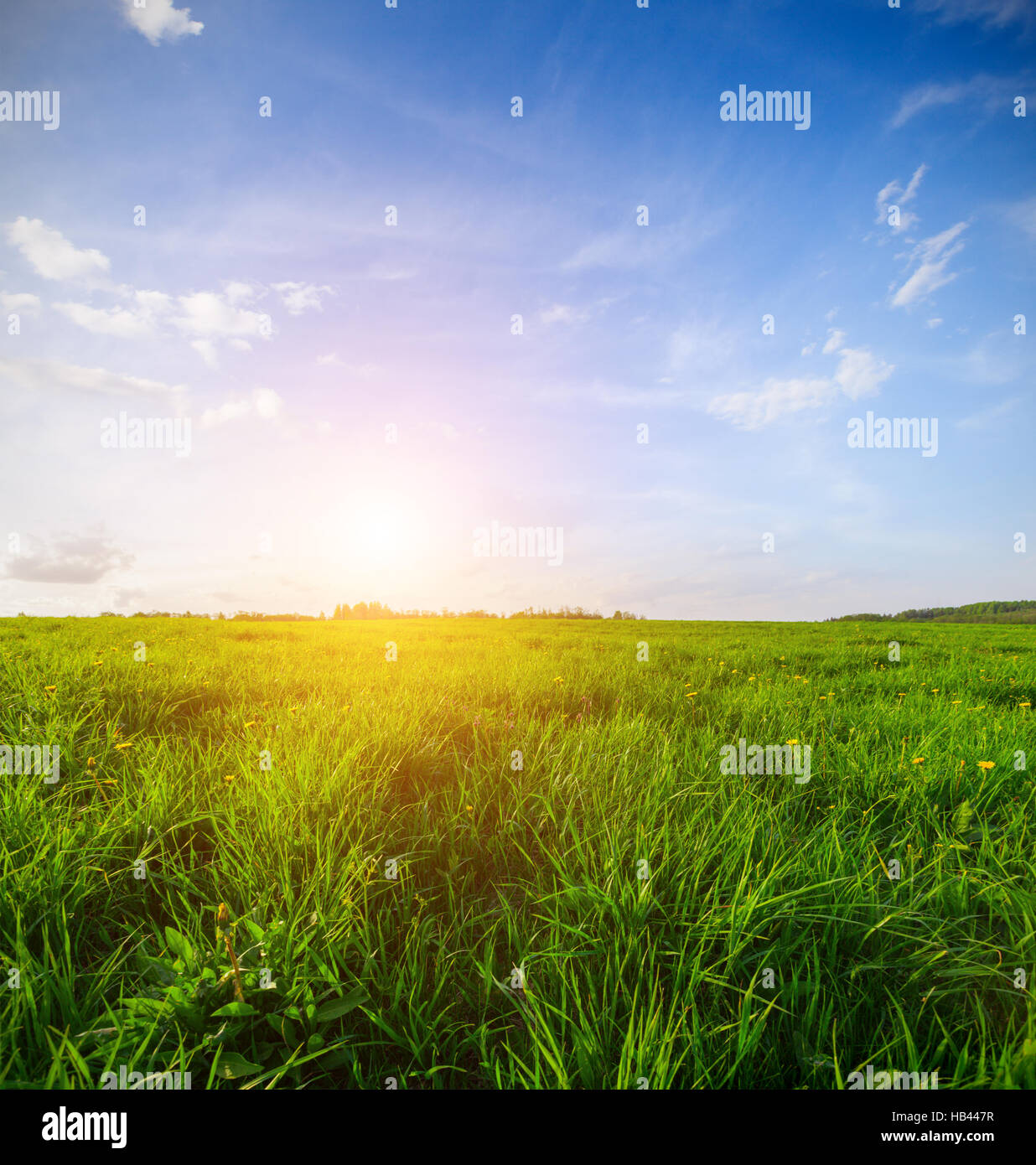 green field and beautiful sunset Stock Photo - Alamy