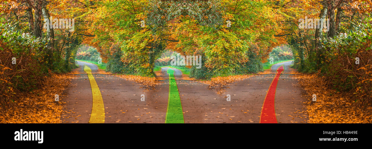 Forest road with three different ways Stock Photo - Alamy