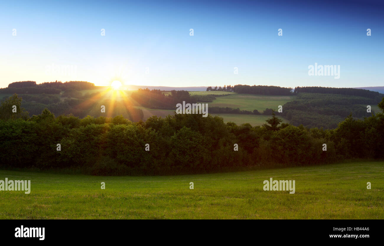 Colorful sunset in forest hi-res stock photography and images - Alamy
