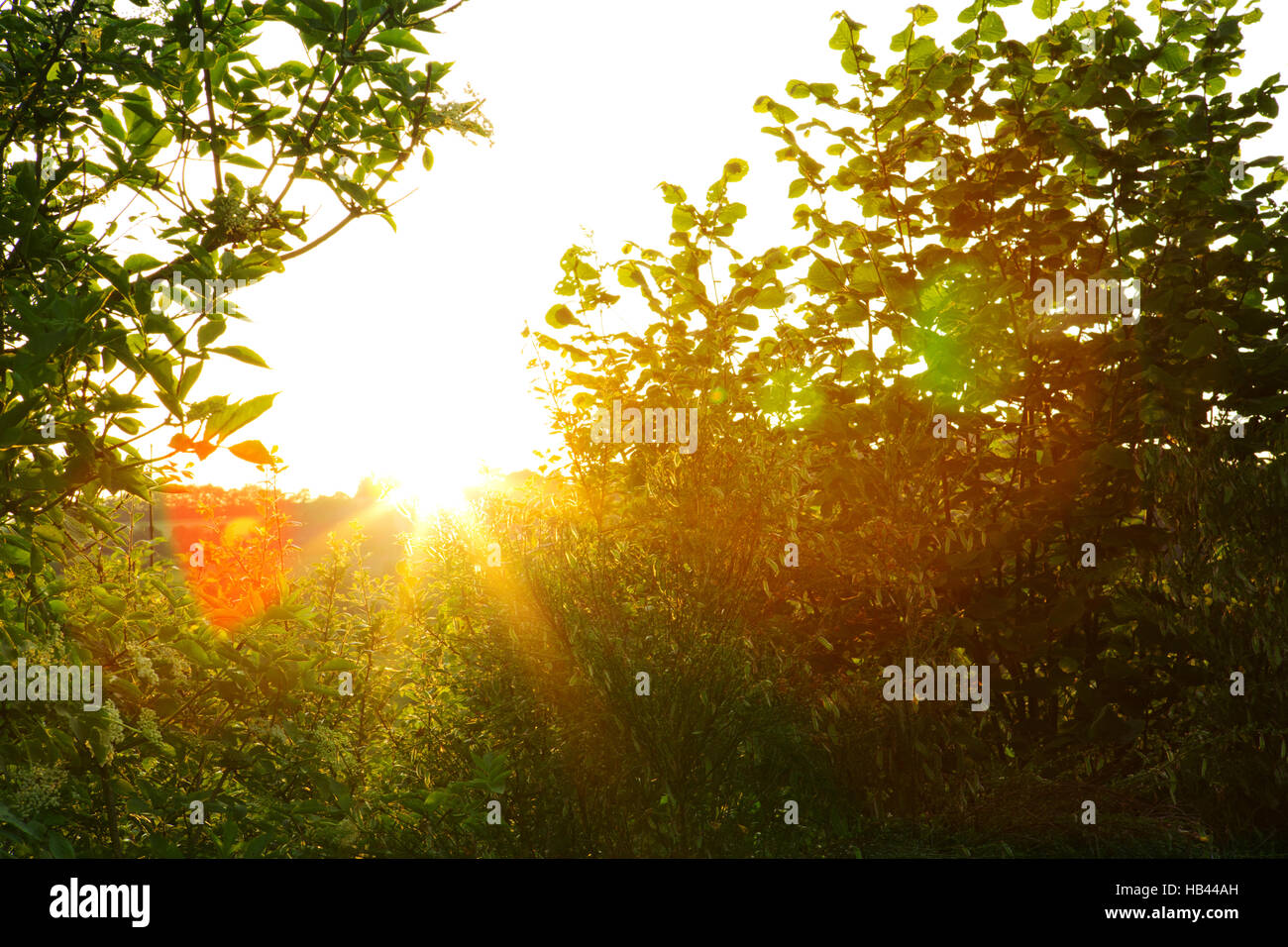 Under sunset hi-res stock photography and images - Alamy