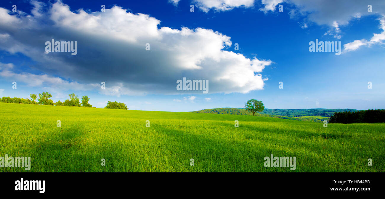 Colorful landscape with field and tree Stock Photo - Alamy