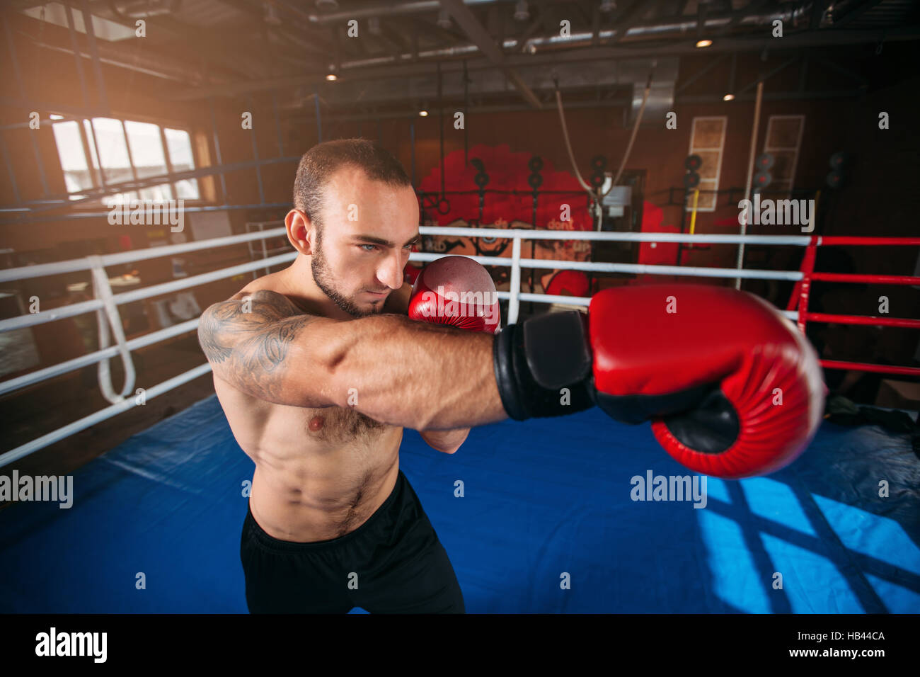 Boxer tattoo hi-res stock photography and images - Alamy