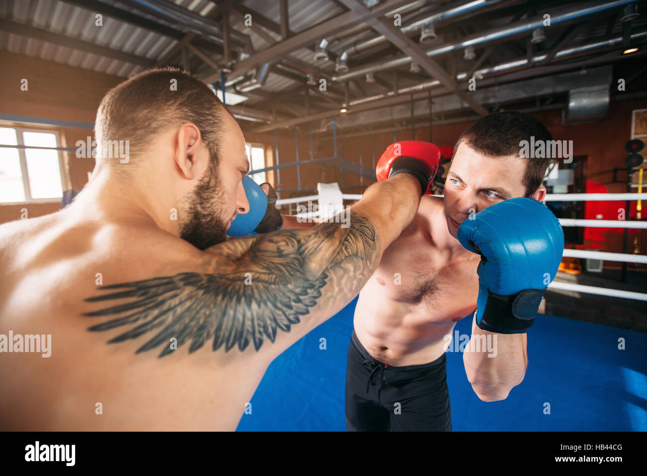 Two boxers strike blows to each other Stock Photo - Alamy
