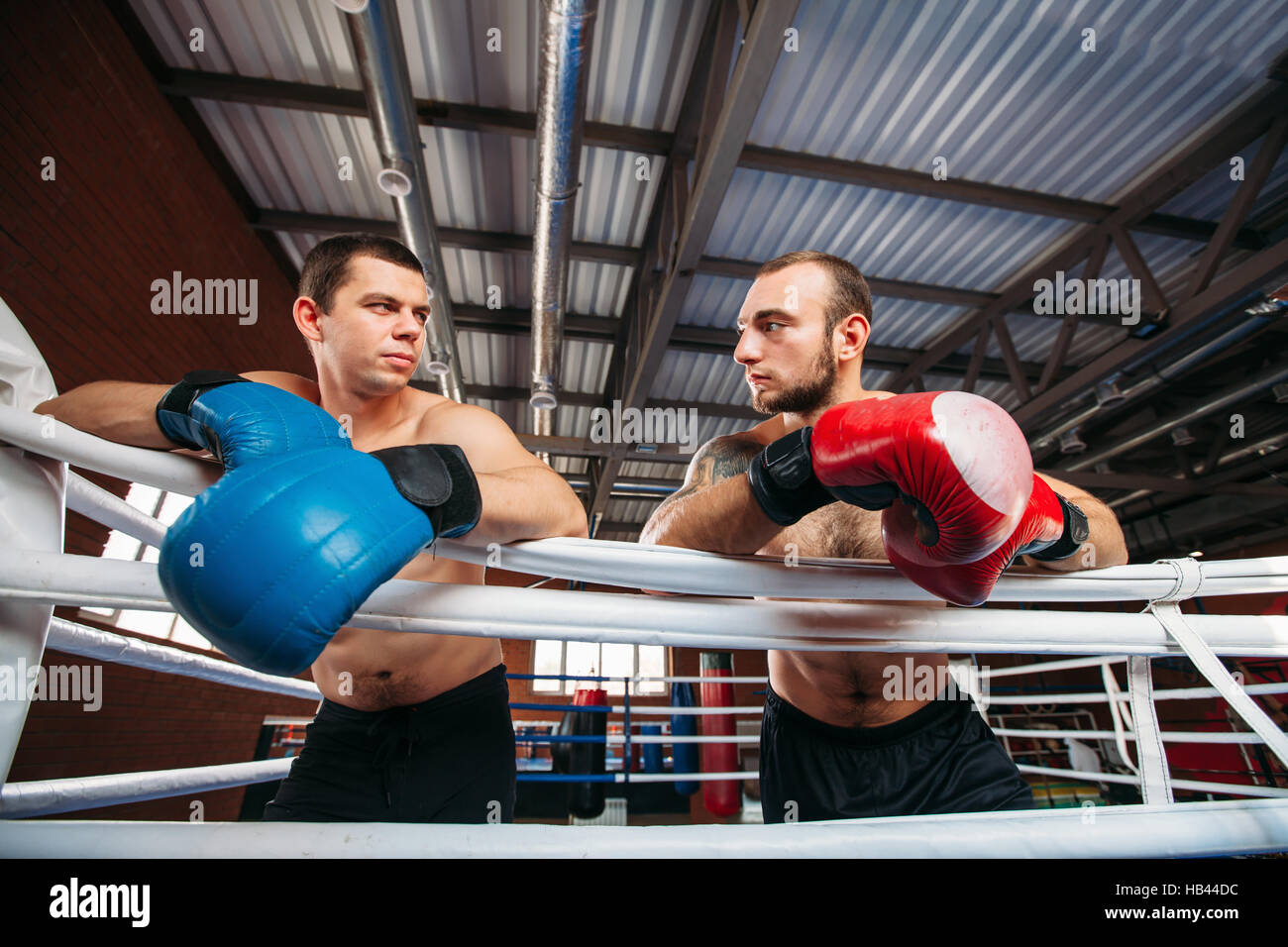 Two boxers look at each other after training Stock Photo - Alamy