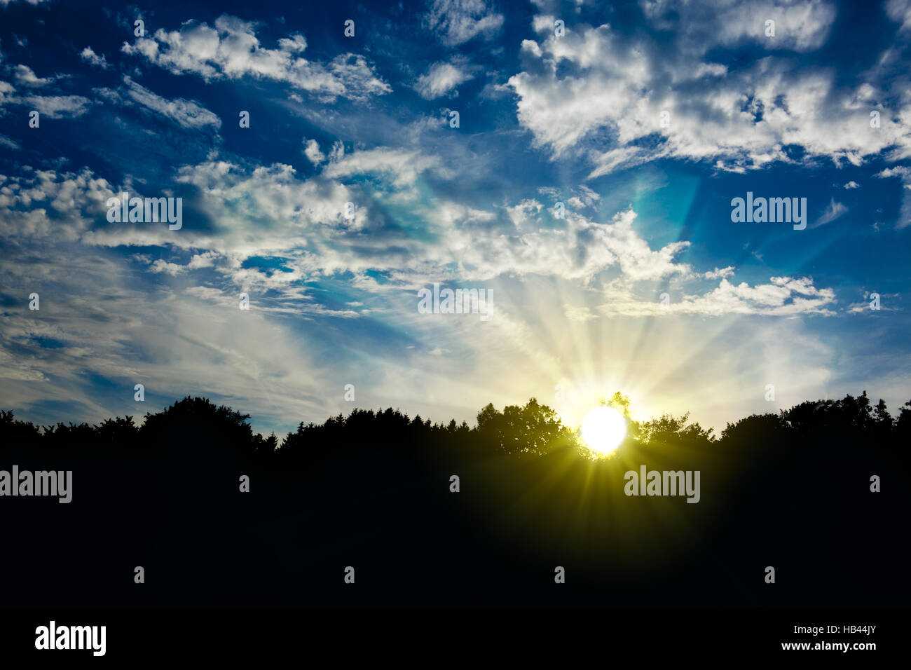 Sunset sky over forest Stock Photo - Alamy